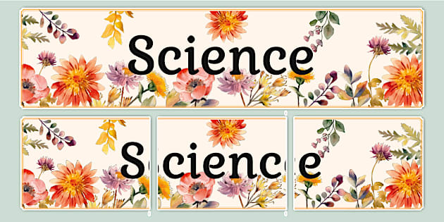 Wildflower Botanical Themed Science Display Banner - Twinkl