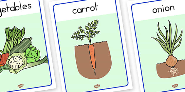 Grow Your Own Display Posters (teacher made) - Twinkl
