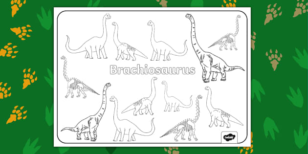 Brachiosaurus Doodle Colouring Page (teacher made) - Twinkl