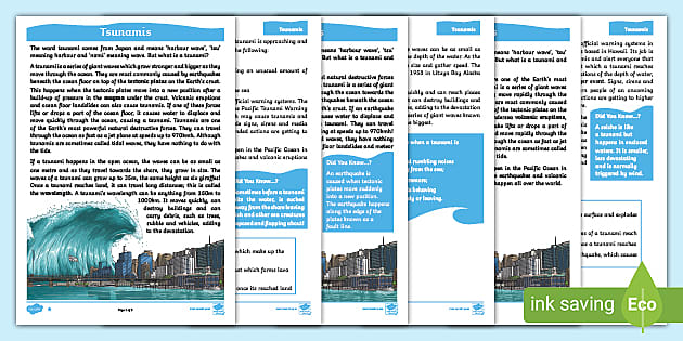 Tsunami Differentiated Reading Comprehension (teacher made)