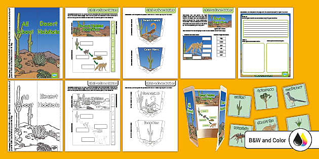 All About Desert Habitats Tri-Fold File Folder Activity