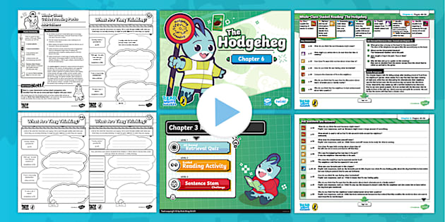 FREE! - The Hodgeheg Whole-Class Guided Reading: Chapter 6 [LKS2]
