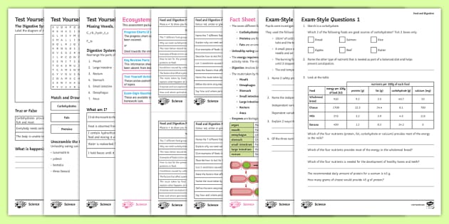 KS3 Food and Digestion Revision Pack | KS3 Science | Beyond