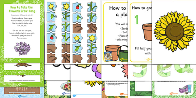 Childminder EYFS Plants and Growth Resource Pack - Twinkl