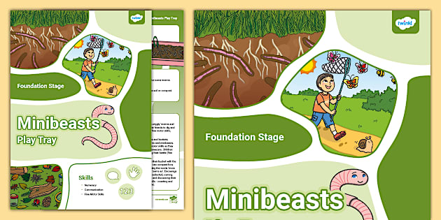 NI EYFS Foundation Stage Play Tray: Minibeasts - Twinkl