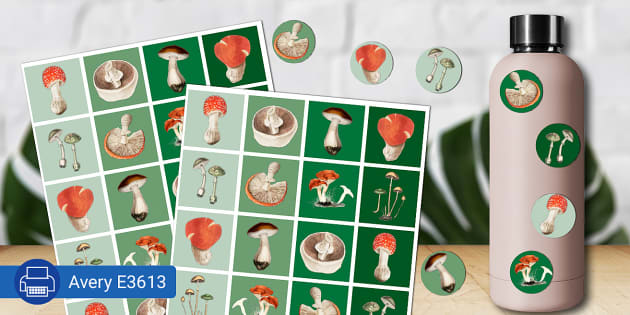 Mushroom Decorative Stickers (Hecho por educadores) - Twinkl