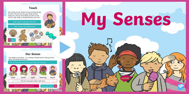 5 Senses for Kindergarten / EYFS PowerPoint - All About Me
