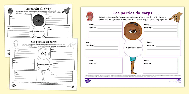 Carte mentale: Les parties du corps (l'enseignant a fait)