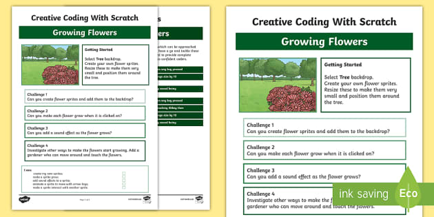Growing Flowers Scratch Worksheet / Worksheet