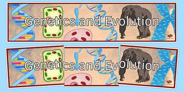 Genetics and Evolution Display Banner (teacher made)