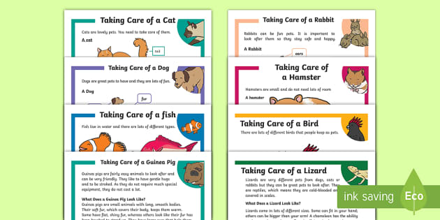 KS1 Pet Care Reading Comprehensions Pack (teacher made)