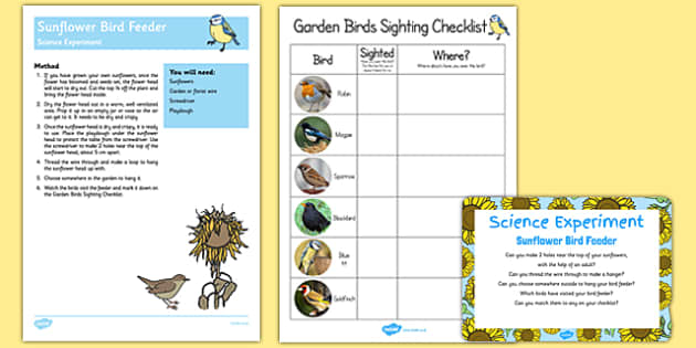Sunflower Bird Feeder Science Experiment and Prompt Card Pack