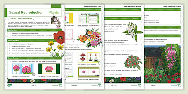 Grade 7 Lesson Plan - Sexual Reproduction in Plants - Twinkl