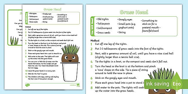 Grass Head Science Experiment (teacher made) - Twinkl