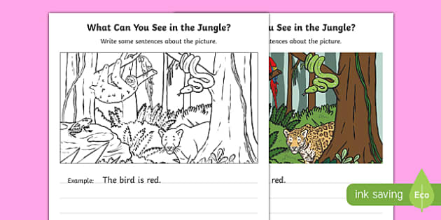 Jungle Writing Stimulus Picture (teacher made) - Twinkl