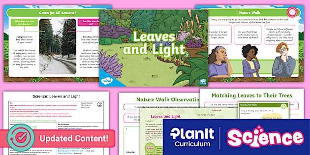 Y3 Plants: Leaves and Light Lesson 3 (teacher made) - Twinkl