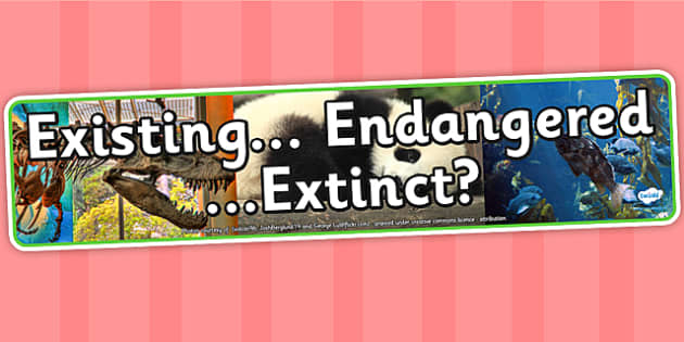 Existing Endangered Extinct Photo Display Banner - Twinkl