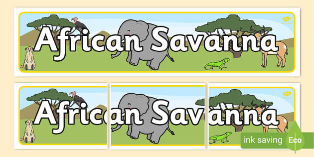 African Savanna Display Banner (teacher made) - Twinkl