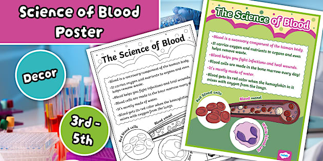 The Science of Blood Poster for 3rd-5th Grade (teacher made)