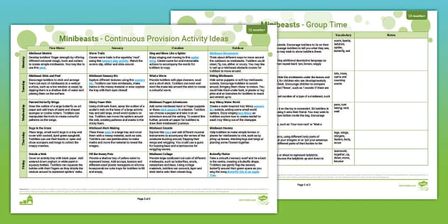 Kindergarten Toddler Room Planning: Minibeasts | Planning | Twinkl