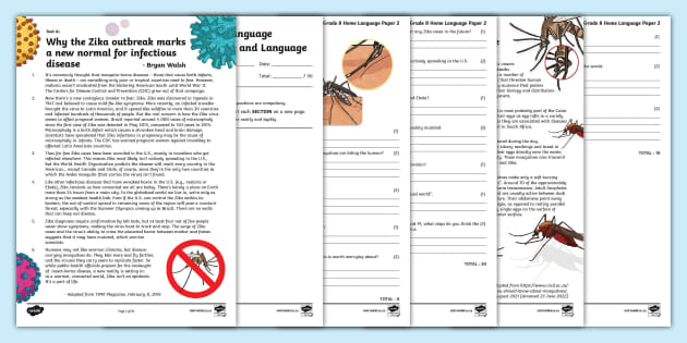 Grade 8 English Exam Papers And Memos PDF teacher Made 
