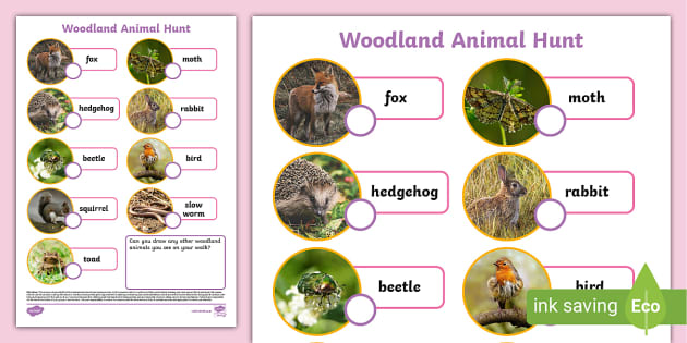 Woodland Animal Hunt Photo Checklist (teacher made) - Twinkl