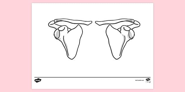 FREE! - Collar Bones Colouring Sheet Copy | Colouring Sheets