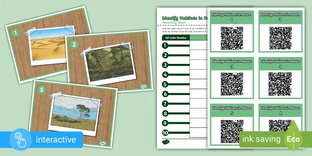 Identify Habitats in Nature QR Code Hunt (teacher made)
