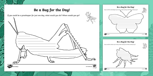 The Cautious Caterpillar Be a Bug for the Day Writing Worksheets