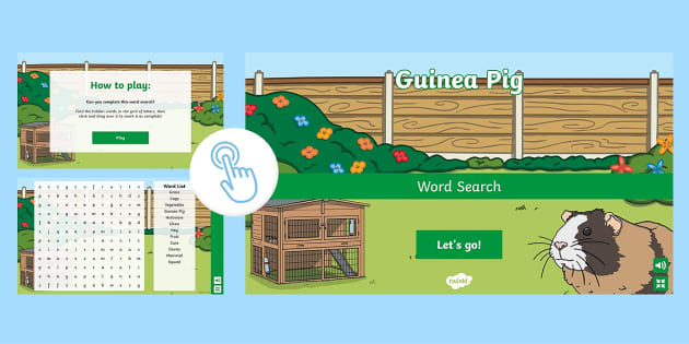 Interactive Guinea Pig Word Search (teacher made) - Twinkl