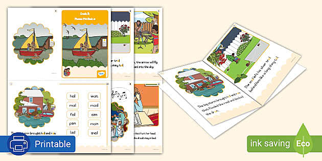 Grade 2 Phonics Mini Book -ai- (professor feito) - Twinkl
