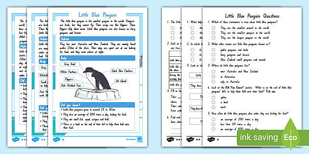 New Zealand Little Blue Penguin Reading Comprehension