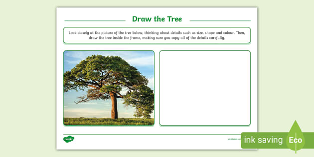 Draw the Tree Art Activity (Hecho por educadores) - Twinkl