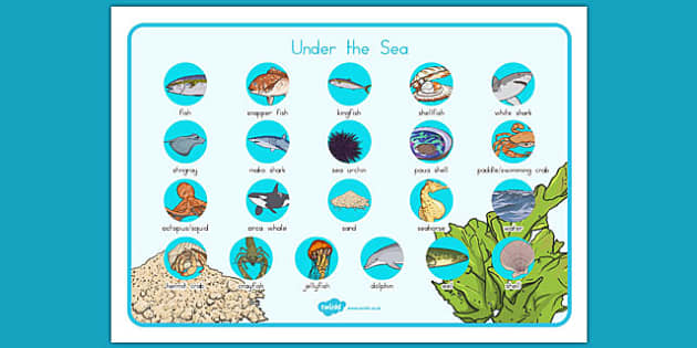 Under the Sea Word Mat (teacher made)