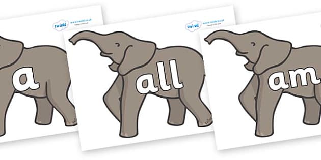 Foundation Stage 2 Keywords on Elephants (Teacher-Made)