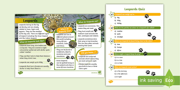 Leopard Fact File and Quiz - KS1 - Animals (Teacher-Made)