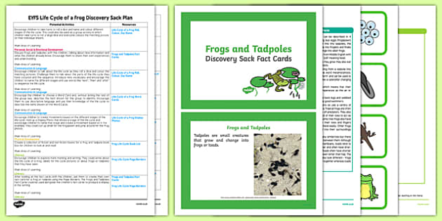 EYFS Life Cycle of a Frog Discovery Sack Plan and Resource Pack