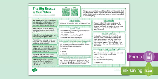 Level 2 June 2023 School Journal: The Big Rescue Story Follow-Up