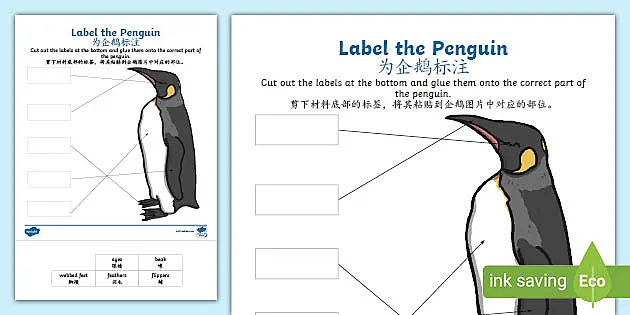 Label Penguin Parts Worksheet