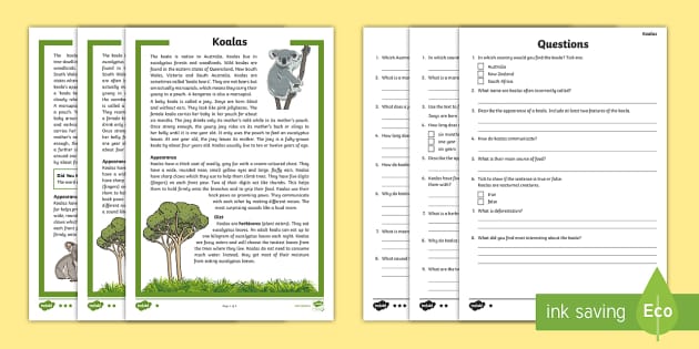 The Koala Differentiated Reading Comprehension Activity