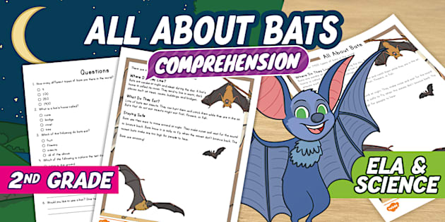 Reading Comprehension | Grade 2 | Non-fiction Reading