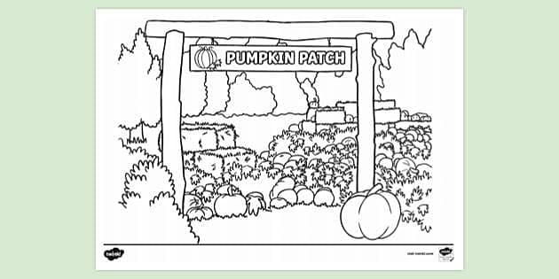FREE! - Pumpkin Colouring Page - Primary School - Twinkl