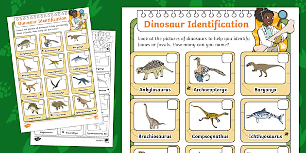 Dinosaur Identification Worksheet (creat de profesori)