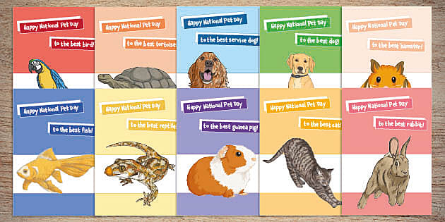 National Pet Day Card Pack | Twinkl Party - Twinkl