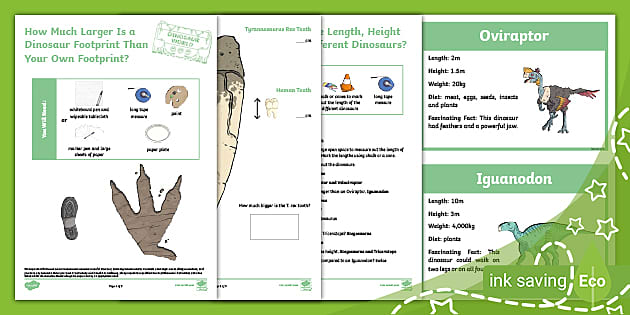 Measuring Dinosaurs Fact Cards and Activity - Twinkl