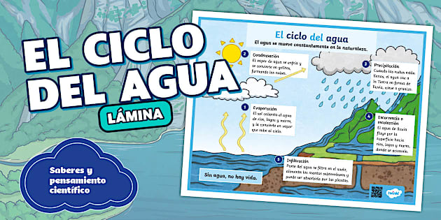 Lámina del ciclo del agua