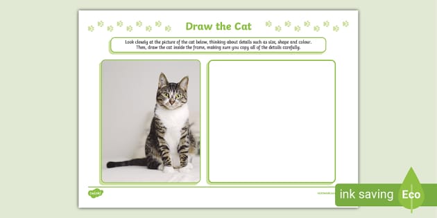 * NEW * Draw a Cat Art Activity (teacher made)