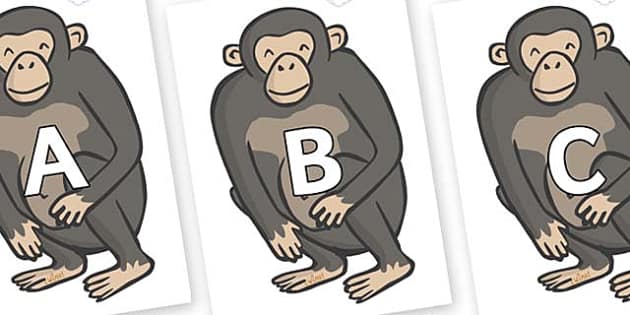 A-Z Alphabet on Chimps
