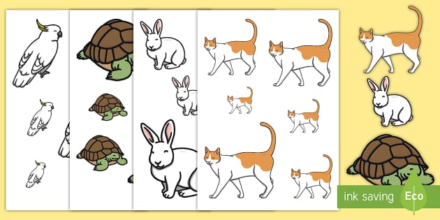 Pets Size Ordering Cutouts (teacher made) - Twinkl