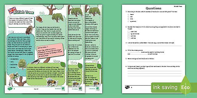 UKS2 British Trees Reading Comprehension Activity - Twinkl